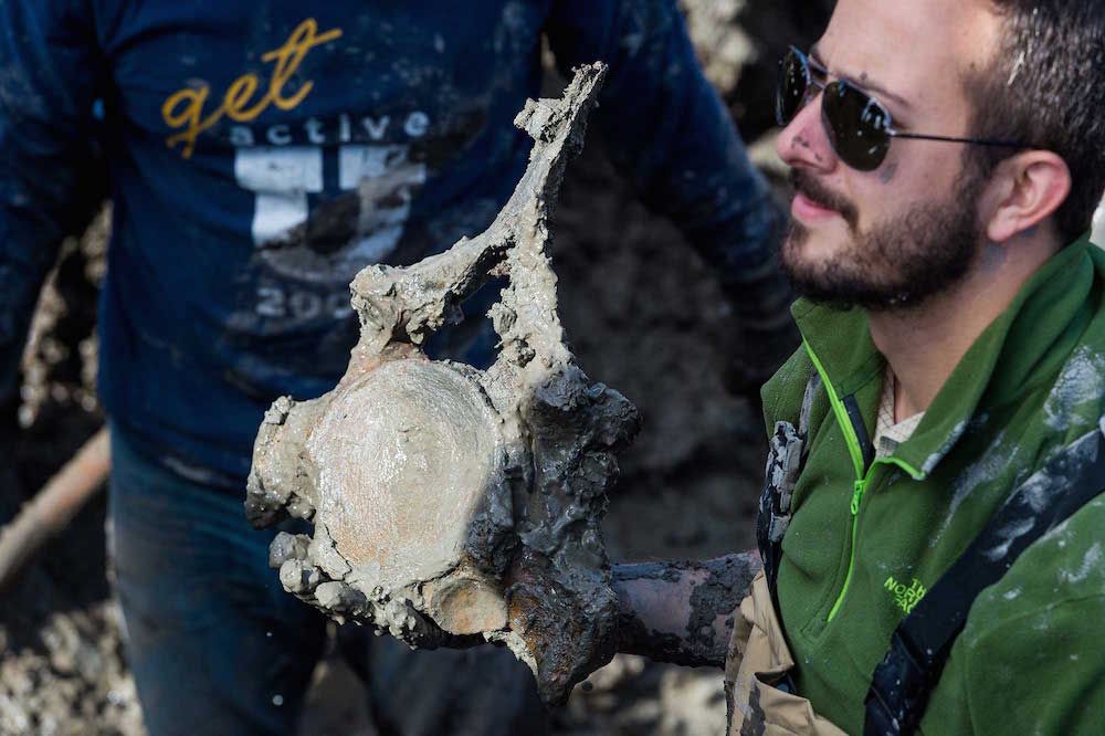 Photos: Mammoth Bones Unearthed from Michigan Farm | Live Science