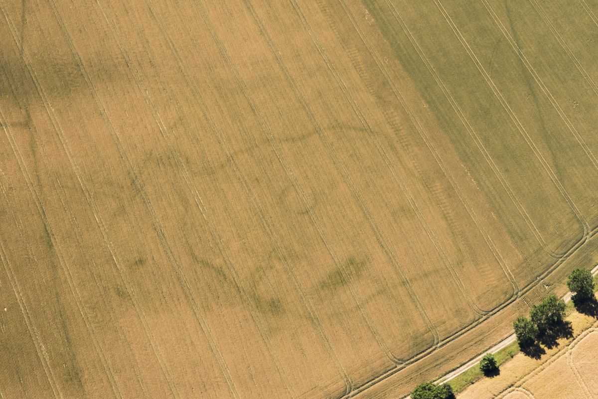 Photos: Cropmarks Reveal Traces of Lost Civilizations in England | Live ...