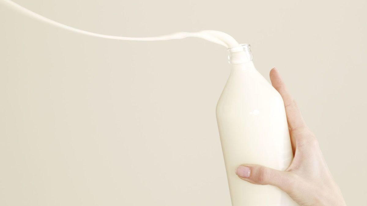 Camel Milk Health Benefits - Camel Milk Beauty Products | Marie Claire