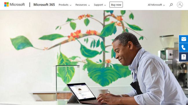 Microsoft 365 Business Basic vs Standard vs Premium: what are the ...