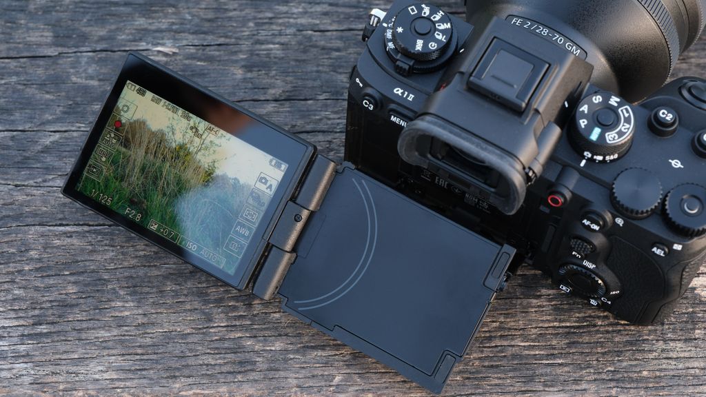 Sony A1 II review: So smart, it knows what you're shooting | Digital ...