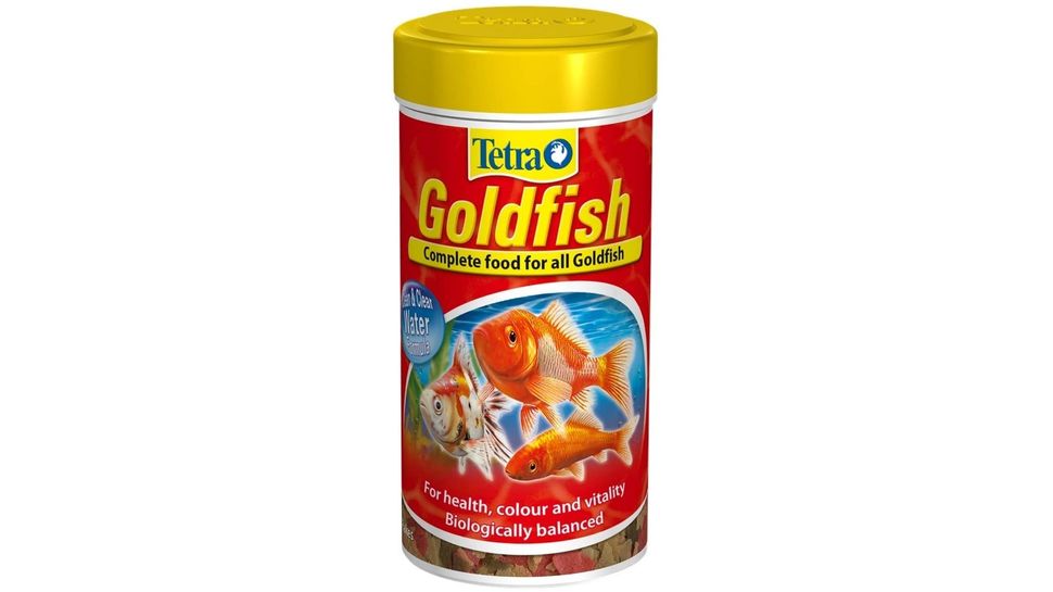 Best fish food: The best diets for tank or pond fish | PetsRadar