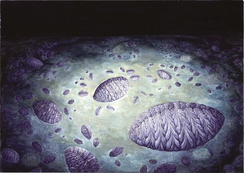Images: Bizarre, Primordial Sea Creatures Dominated the Ediacaran Era ...
