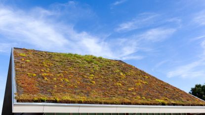 What is rainscaping and how can it benefit your garden? | Woman & Home