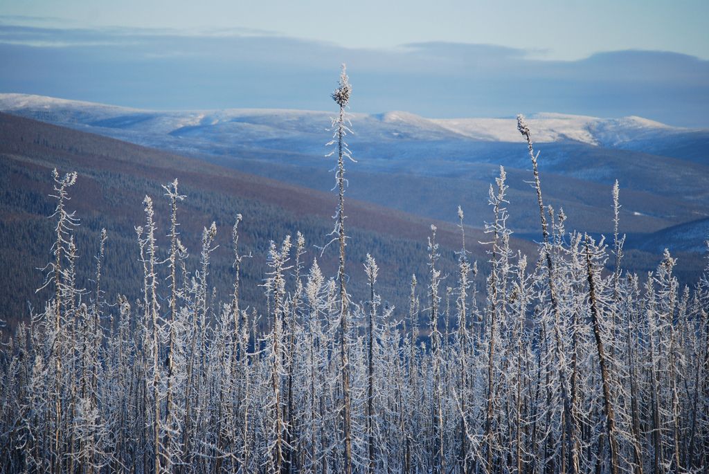 NASA Rocket Launch Studies Northern Lights (Photos) | Space