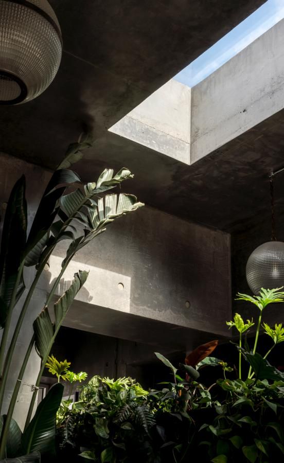 Concrete House: a verdant family home design in East Sussex | Wallpaper