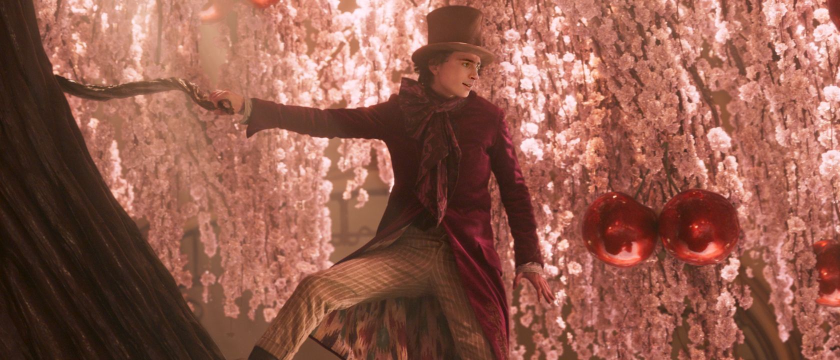 Wonka Review: Timotheé Chalamet’s Prequel Is A Scrumdiddlyumptious Feat ...