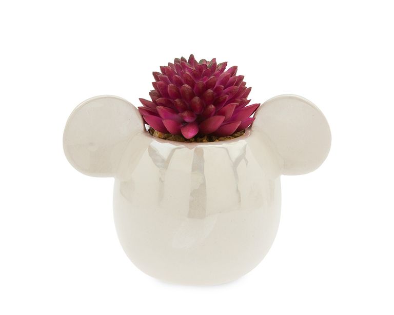 There's Disney Plant Pots Now If Your Cactus Is As Obsessed As You Are ...