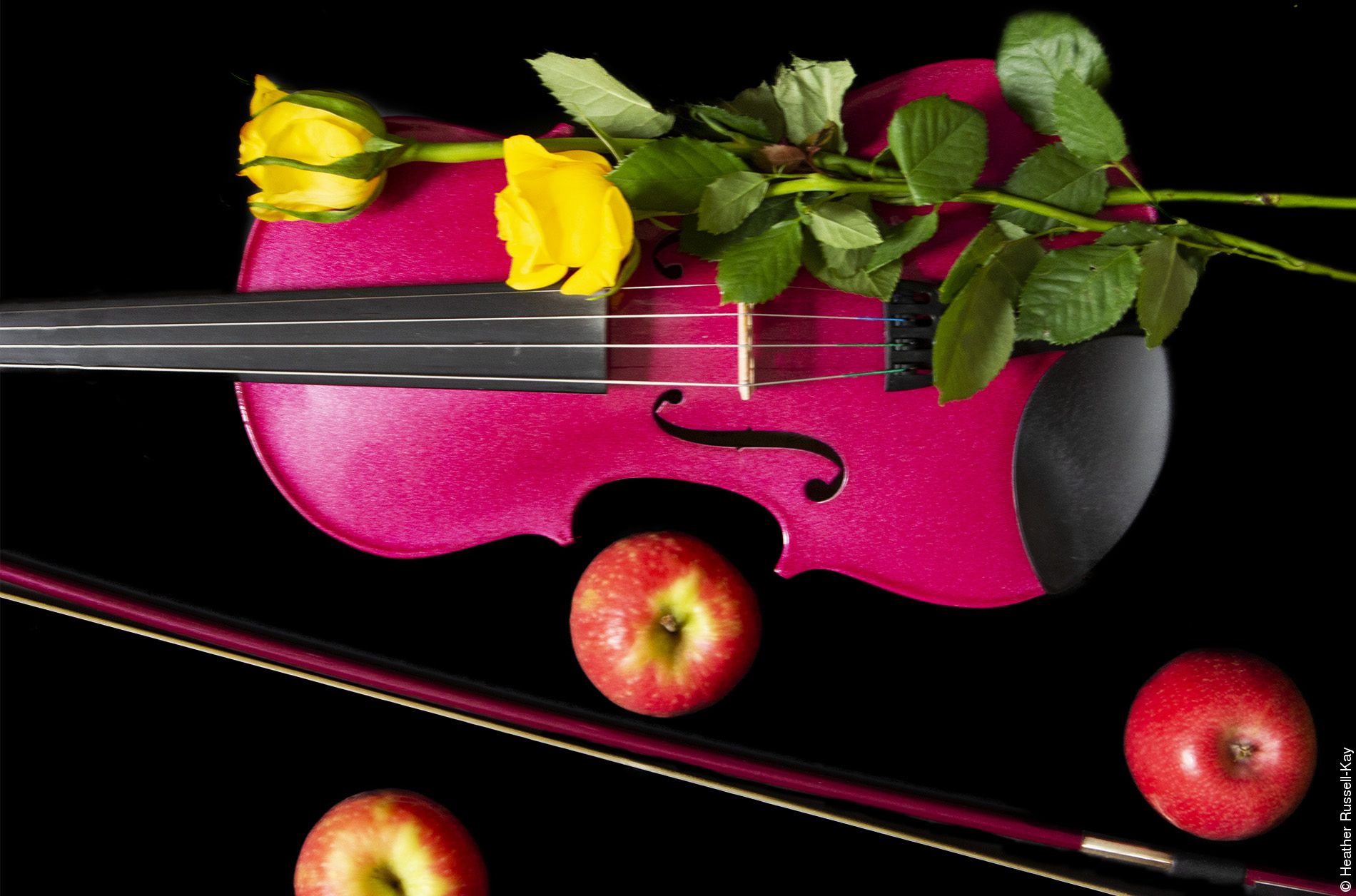 Pink Lady Food Photographer of the Year – last call for entries ...