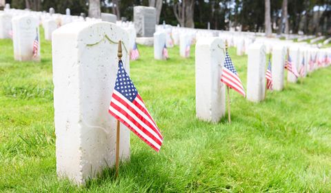 What's the Difference Between Memorial Day and Veterans Day? | Live Science