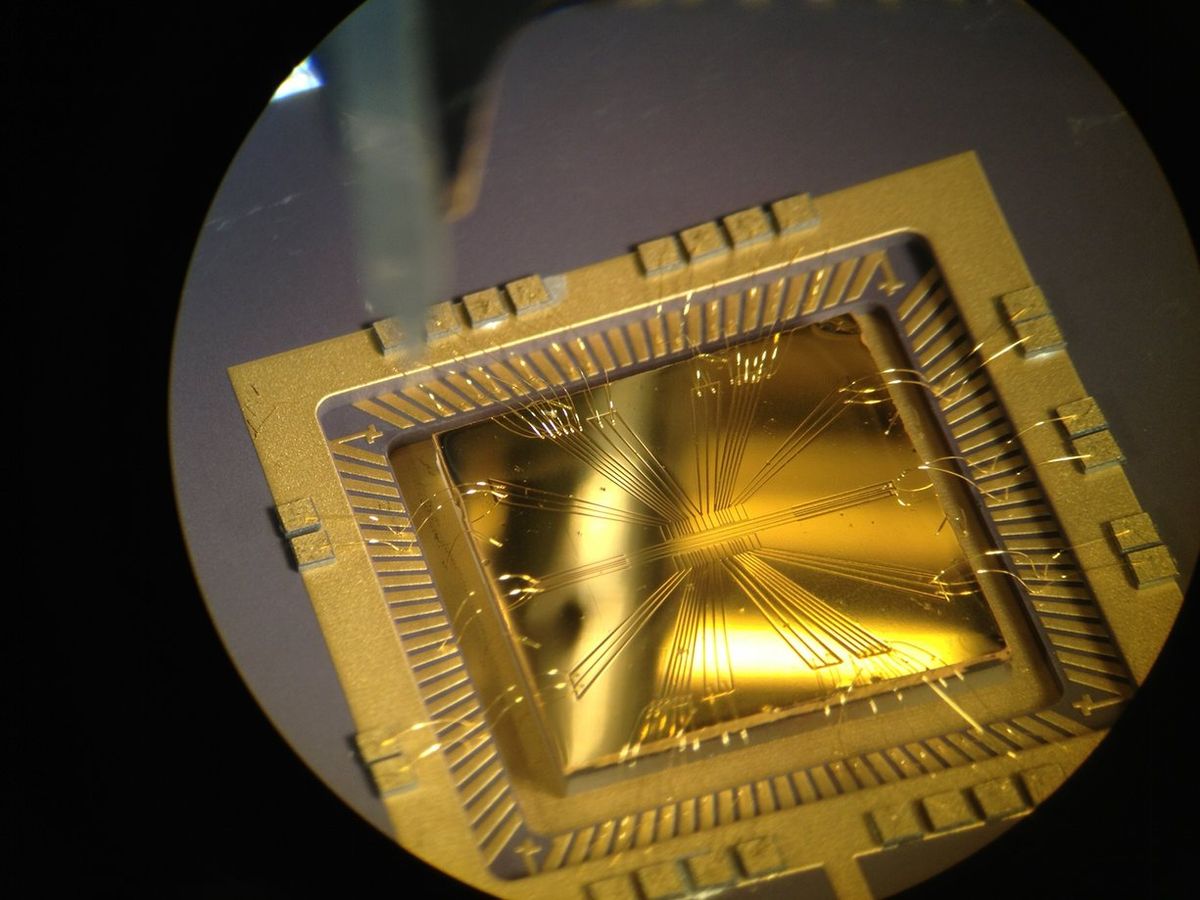 Gold computer chip takes science photography's top prize | The Week