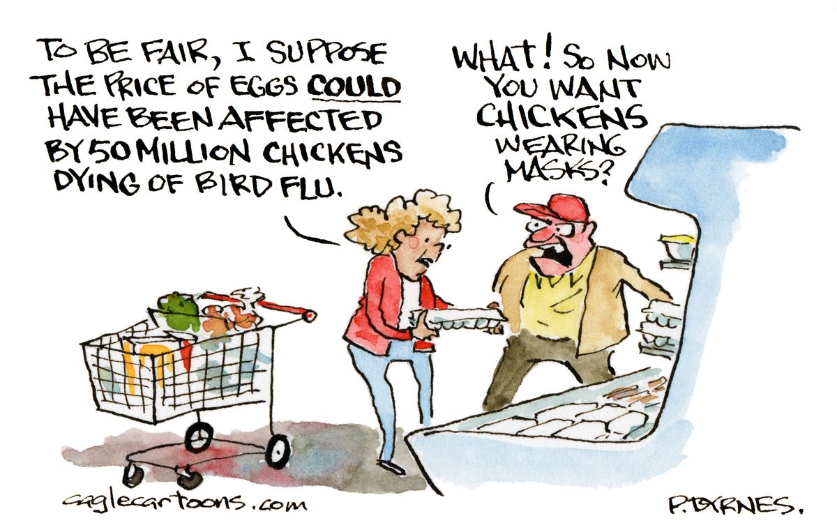 Masks for chickens? | The Week
