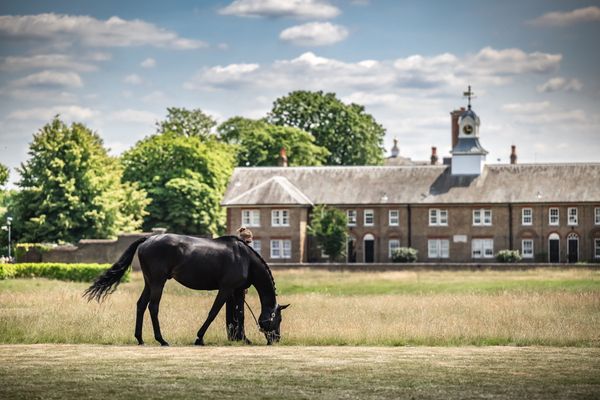 Articles by Octavia Pollock | Country Life