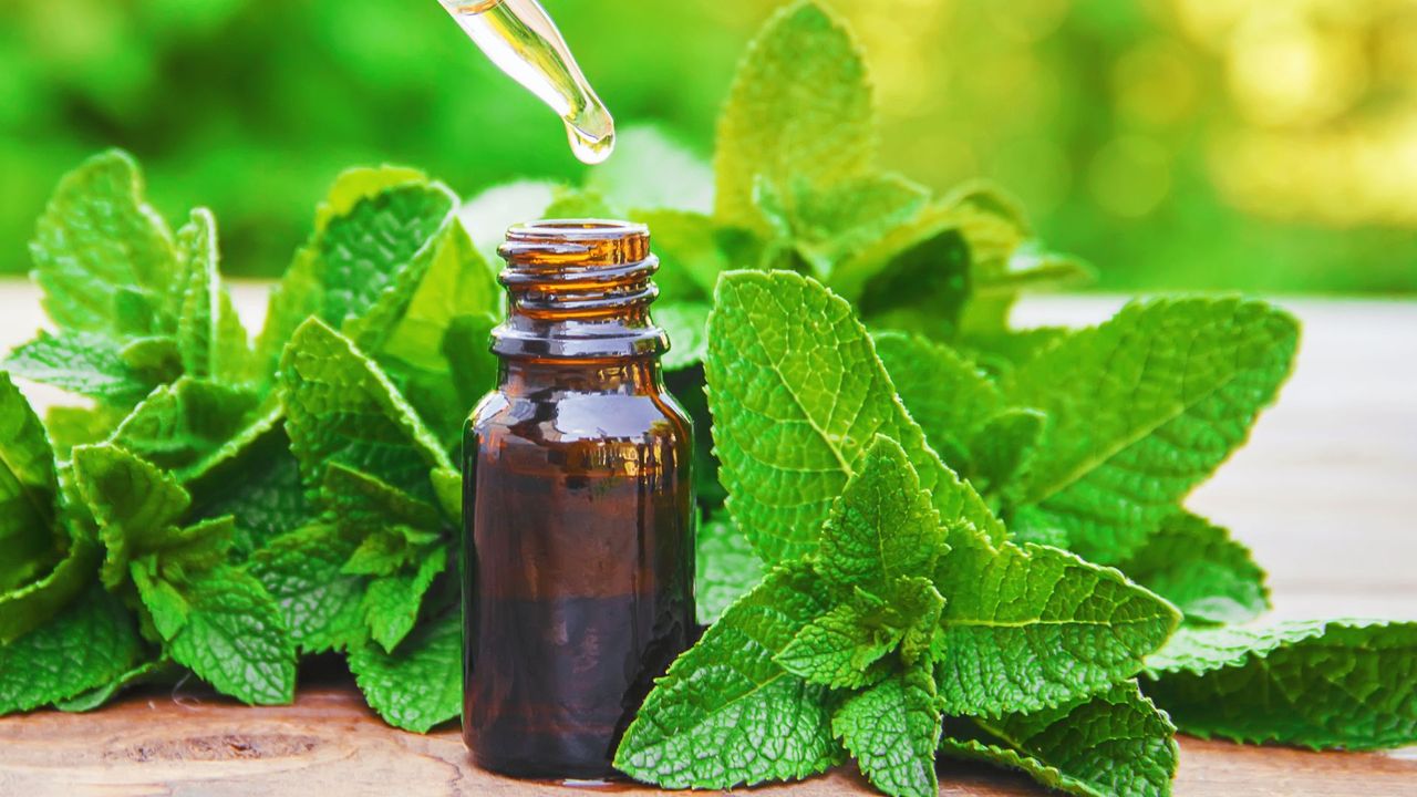 Hay fever giving you a cough? These 7 herbal solutions help | Woman & Home