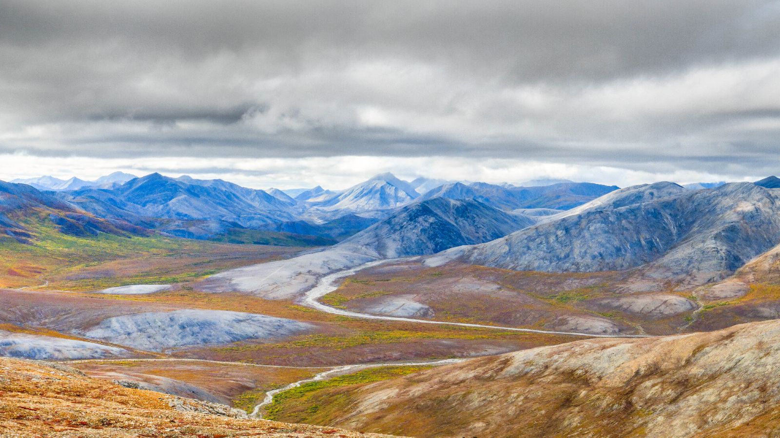 Like 'walking through the woods of millions of years ago': Ancient ...