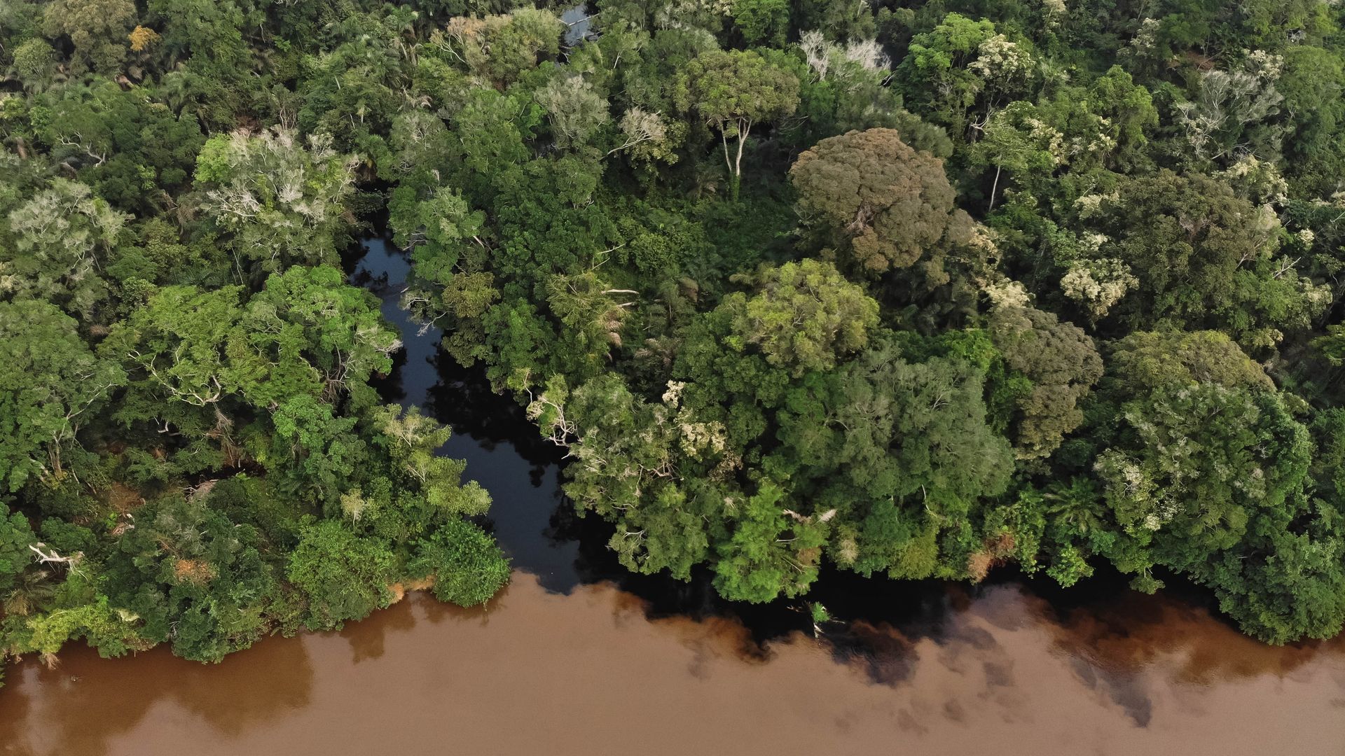 'Blackwater' lakes and rivers in the Congo Basin are now emitting ...