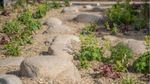 How to clean landscaping rocks: simple methods that work | Homes and ...