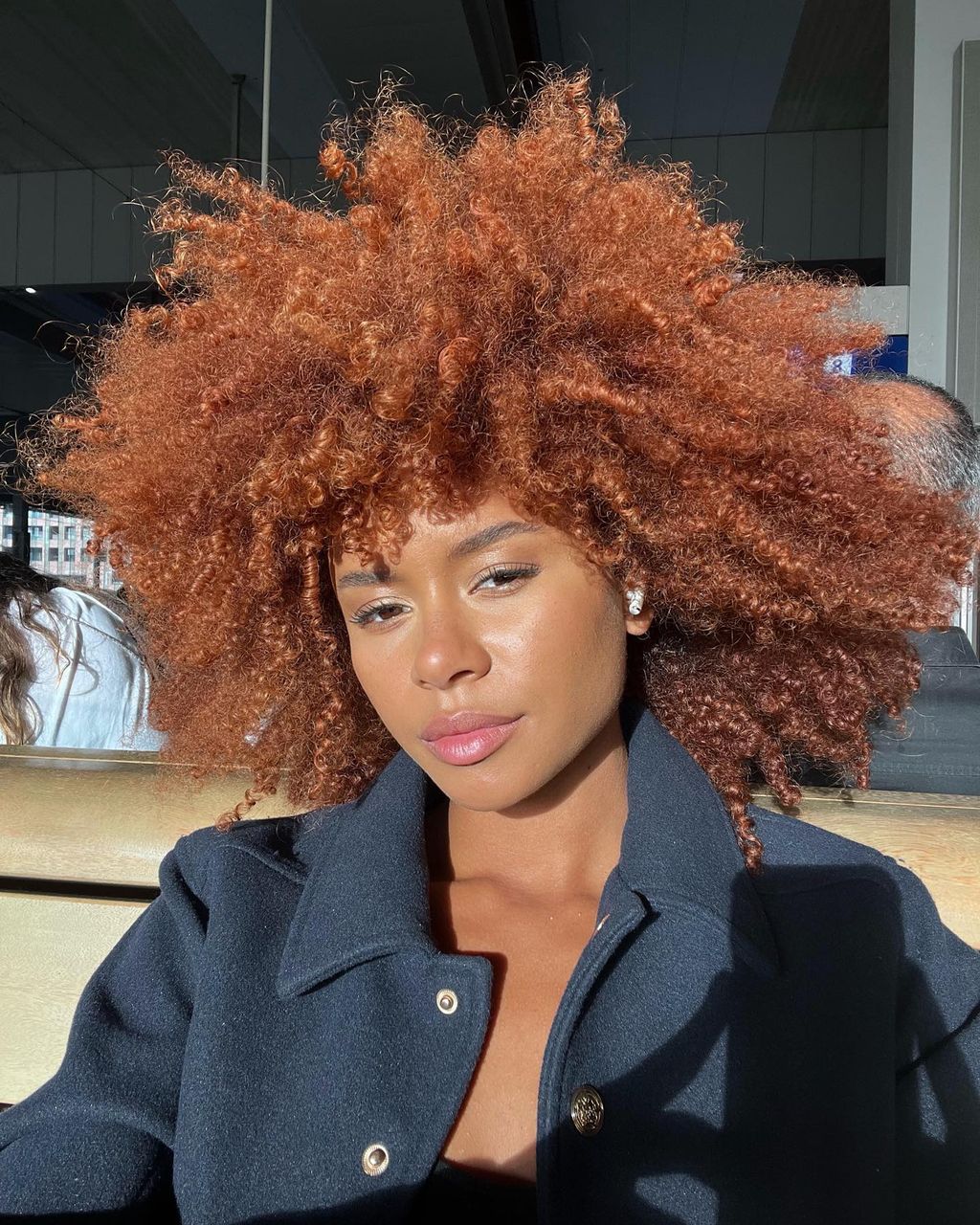 Terracopper (aka Dark Copper) Is the Rich-Looking Hair Colour ...