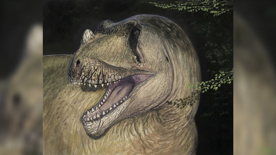 Giant horned dinosaur's fossils were destroyed in WWII — but photos ...