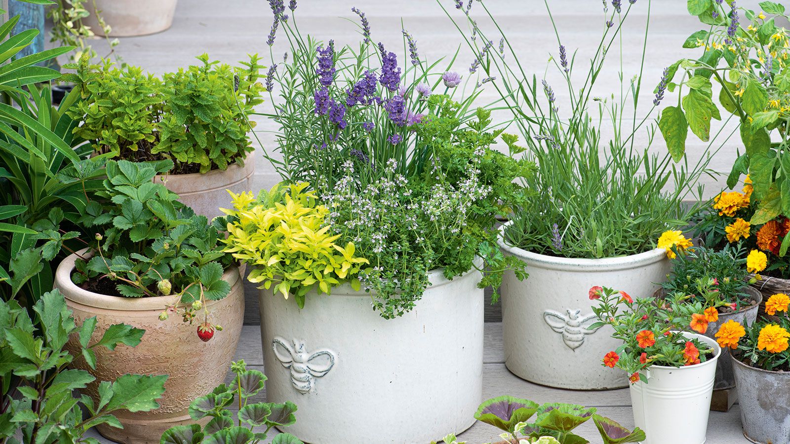 Container gardening mistakes: 9 common errors to avoid | Homes and Gardens