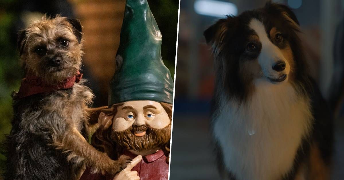 Strays producers Lord and Miller had no plans to cut dick-biting from ...