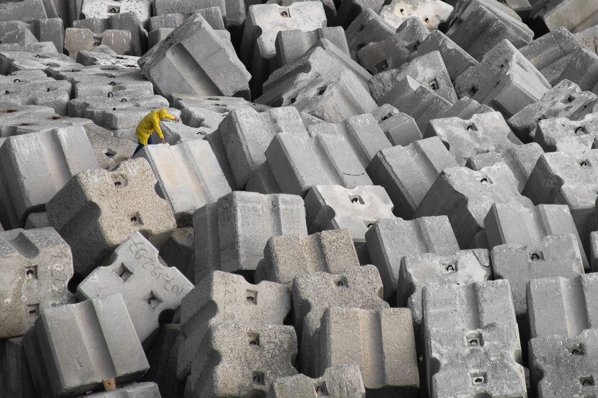 Photo competition reveals the hidden beauty of the concrete jungle ...