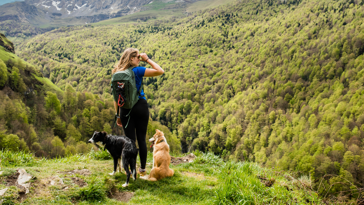 Hiking with a dog: An expert shares her top tips | PetsRadar
