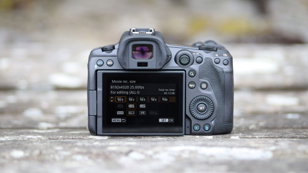 Canon EOS R5 vs R6: What are the differences and which is best for you ...