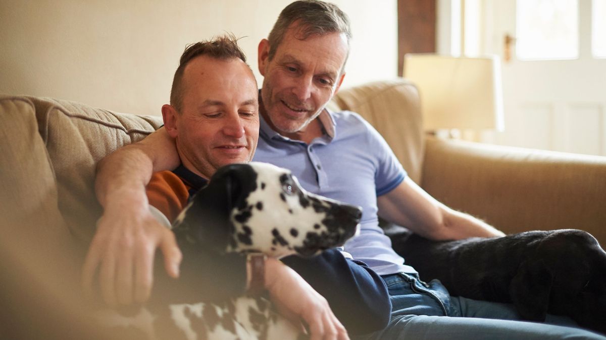 32 ways to support a scared or anxious pet | PetsRadar