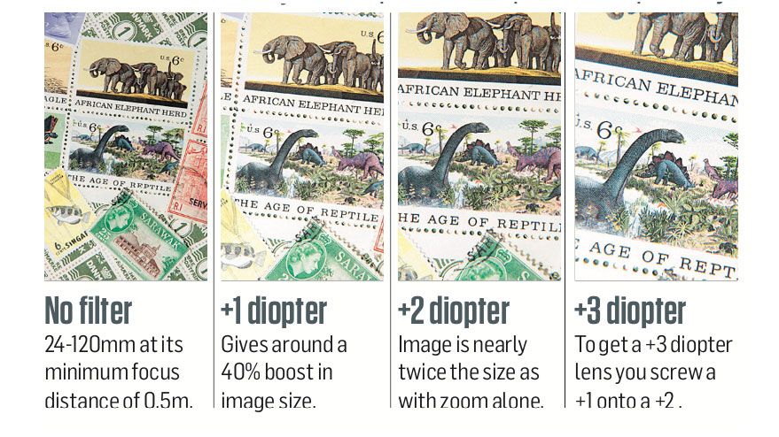 Best close-up filters | Digital Camera World