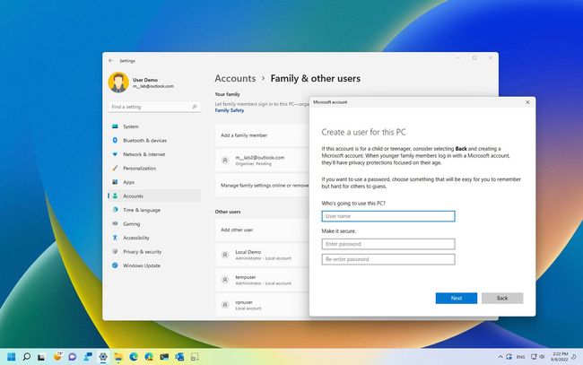 How to use local admin account to fix problems on Windows 11 | Windows Central
