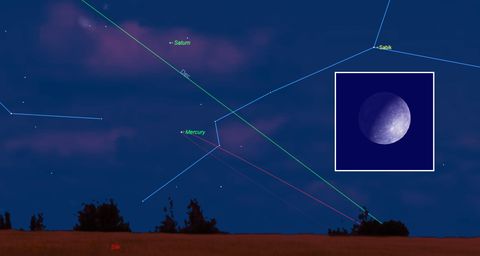 Elusive Planet Mercury Shines in the Thanksgiving Sky: How to See It ...