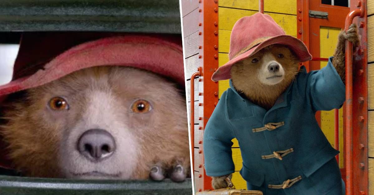 Paddington 3 finally has a release date and fans are losing it ...