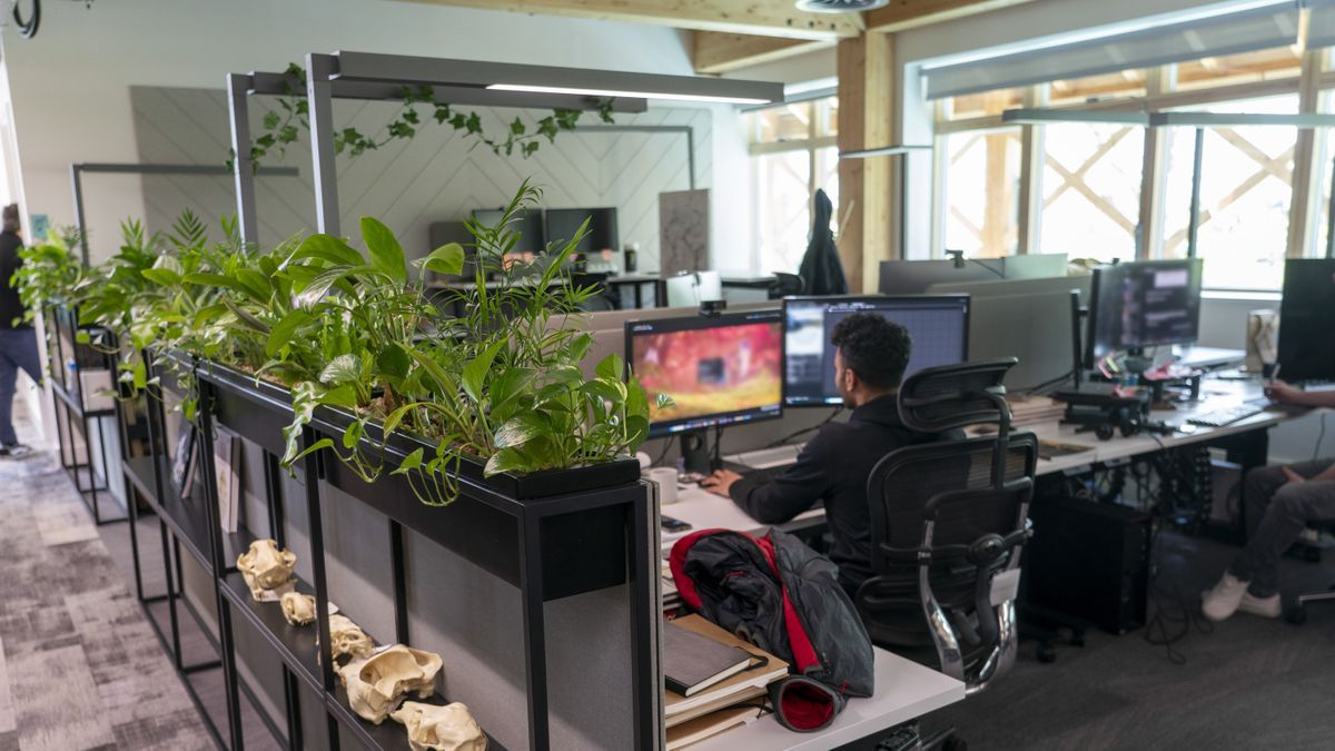 Rare's new eco-friendly studio building saves enough electricity to ...