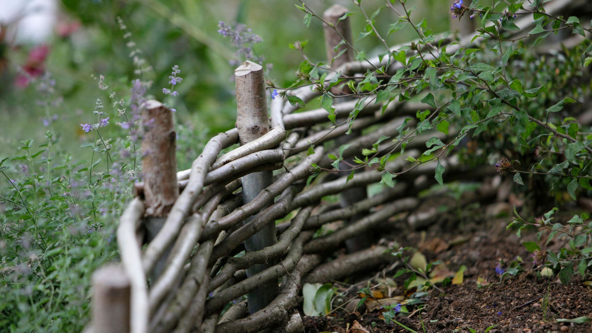 What is a dead hedge? An expert guide to a garden must-have | Ideal Home