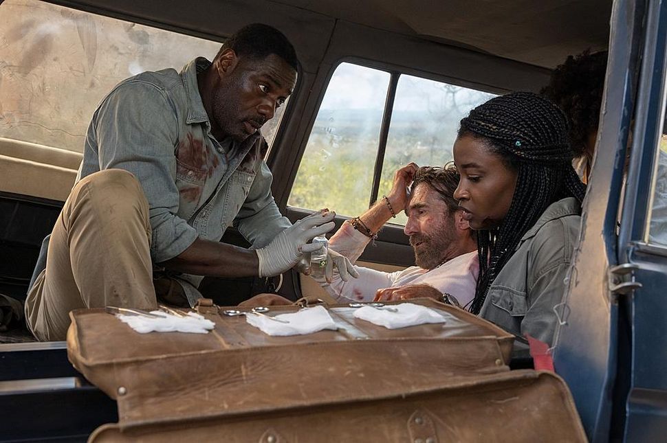 Beast: release date, plot, cast, trailer and all we know | What to Watch