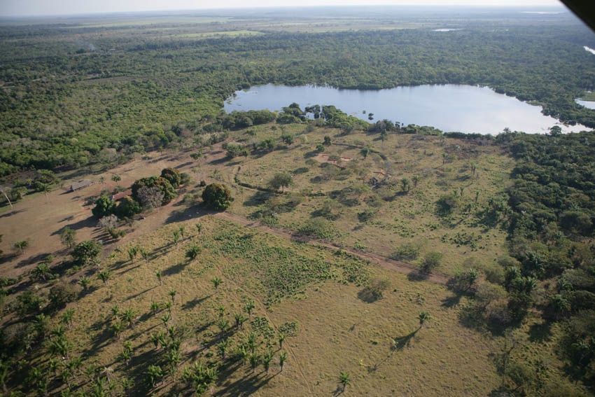 In Photos: Earthworks Scattered Throughout the Amazon | Live Science