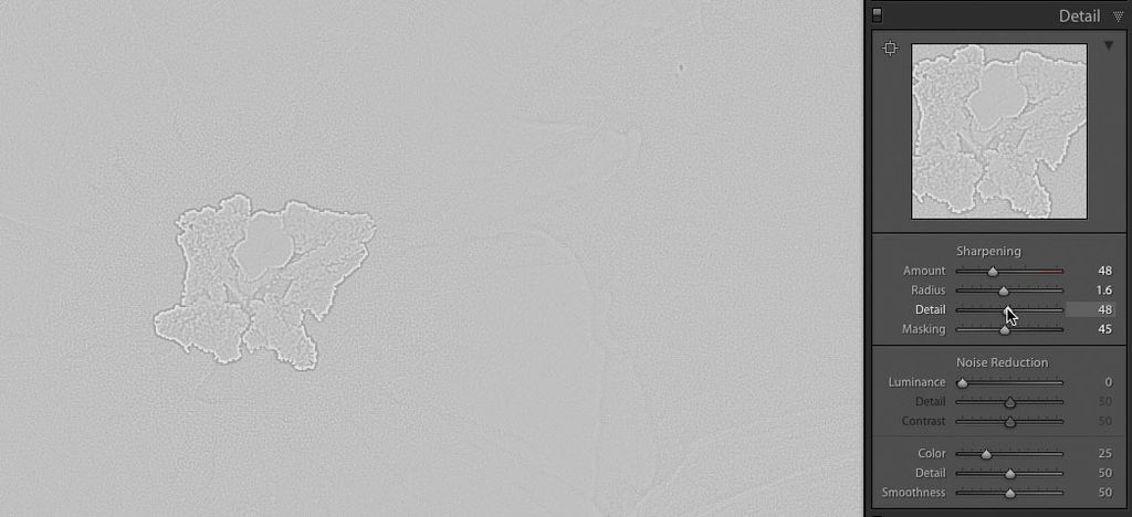 Lightroom series part 2: How to make shots look sharper with Lightroom ...