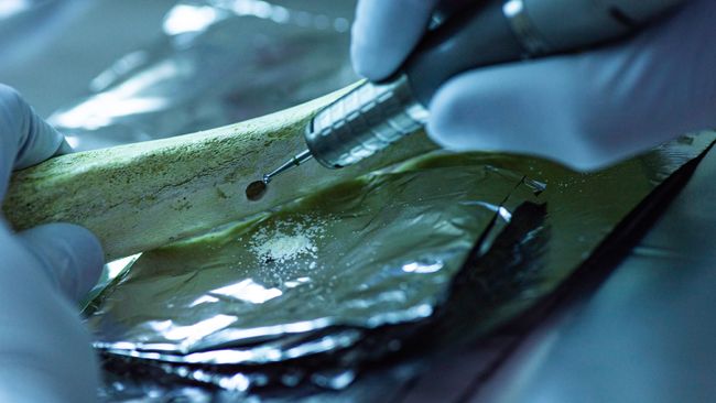 DNA analysis spanning 9 generations of people reveals marriage ...
