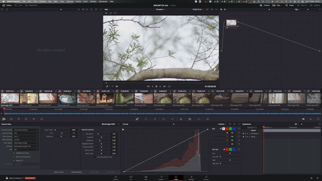 Blackmagic Design DaVinci Resolve 17 review | Digital Camera World