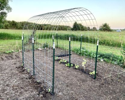 I Elevated My Garden With This Easy DIY Trellis - Here's How ...