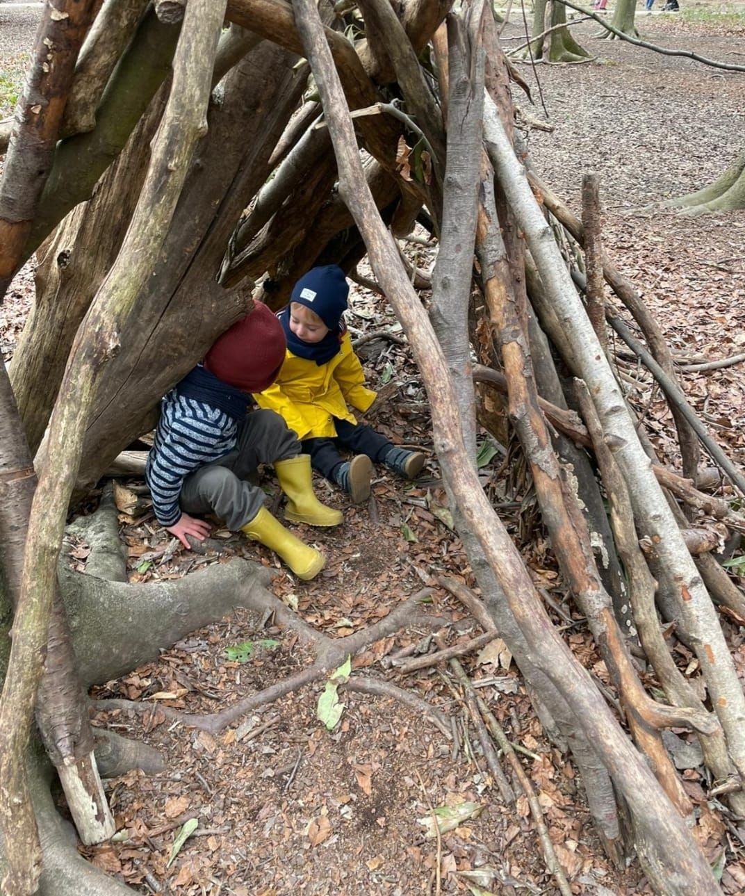 Gruffalo Trail: how many are there and is the Gruffalo Trail free ...