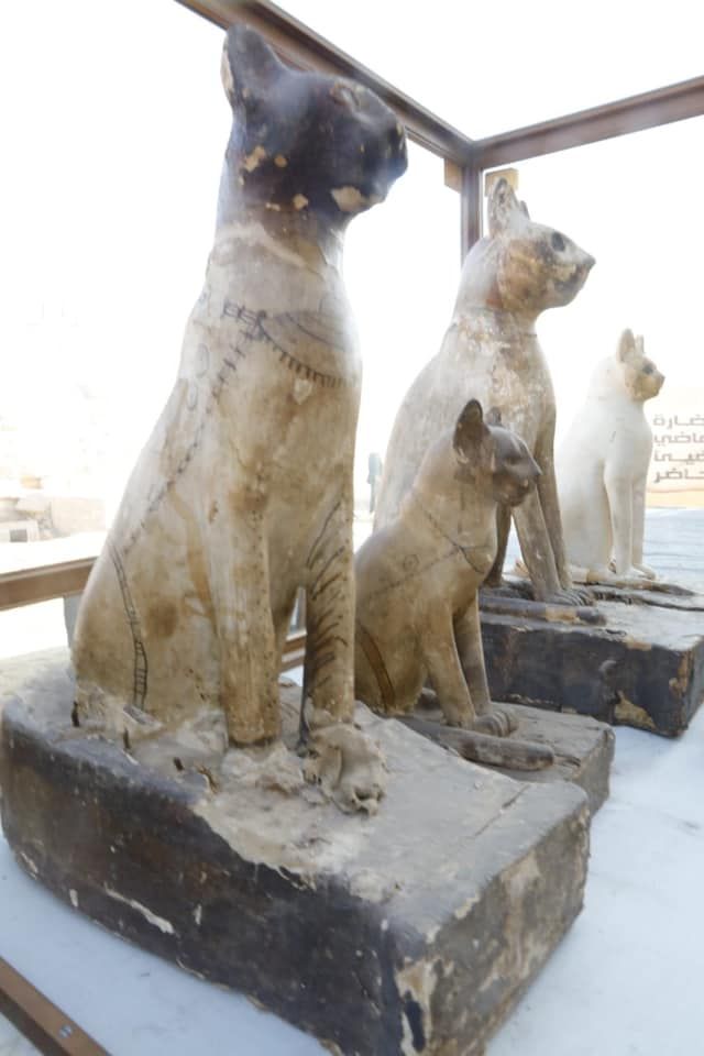 Two Lion Cub Mummies Discovered in Egypt for the First Time | Live Science