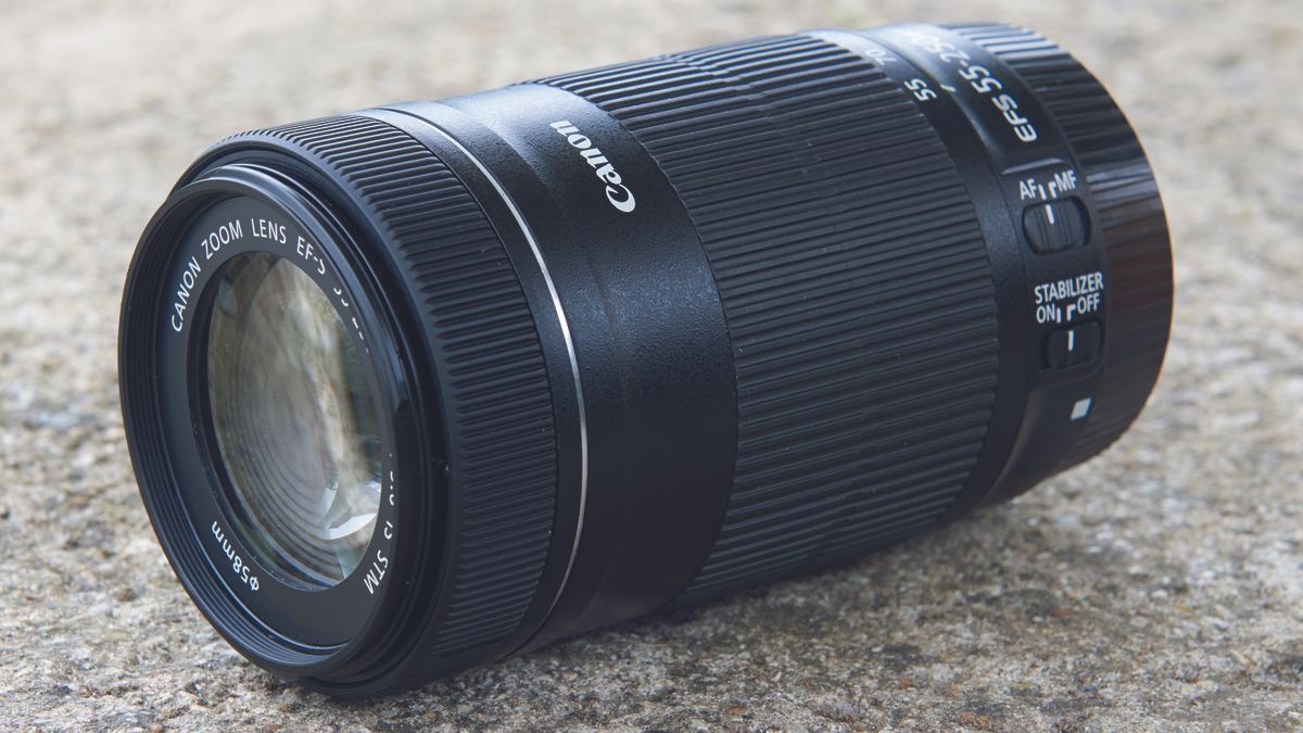 The best Canon telephoto lenses in 2022 | Digital Camera World