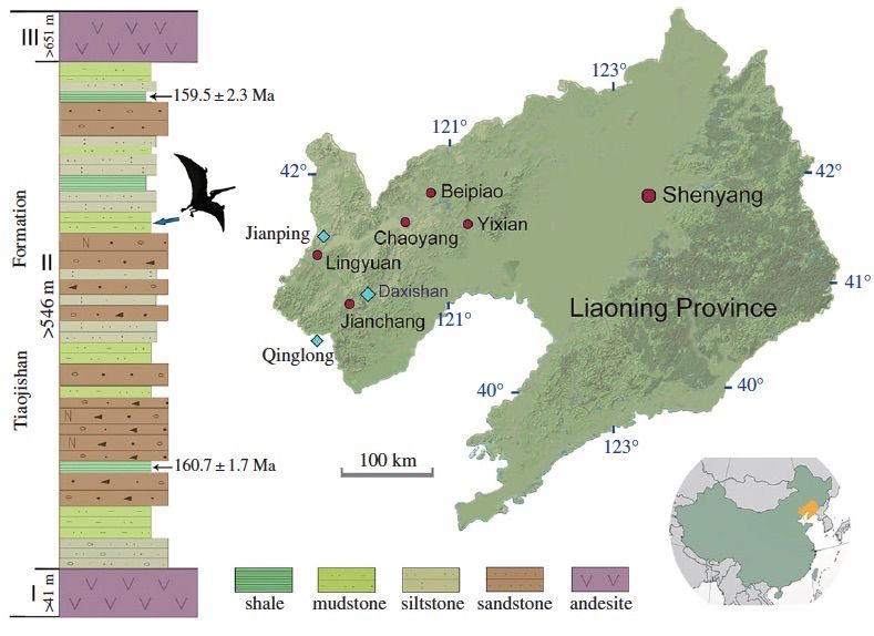 160-Million-Year-Old Pterosaur Ate Like a Flamingo | Live Science