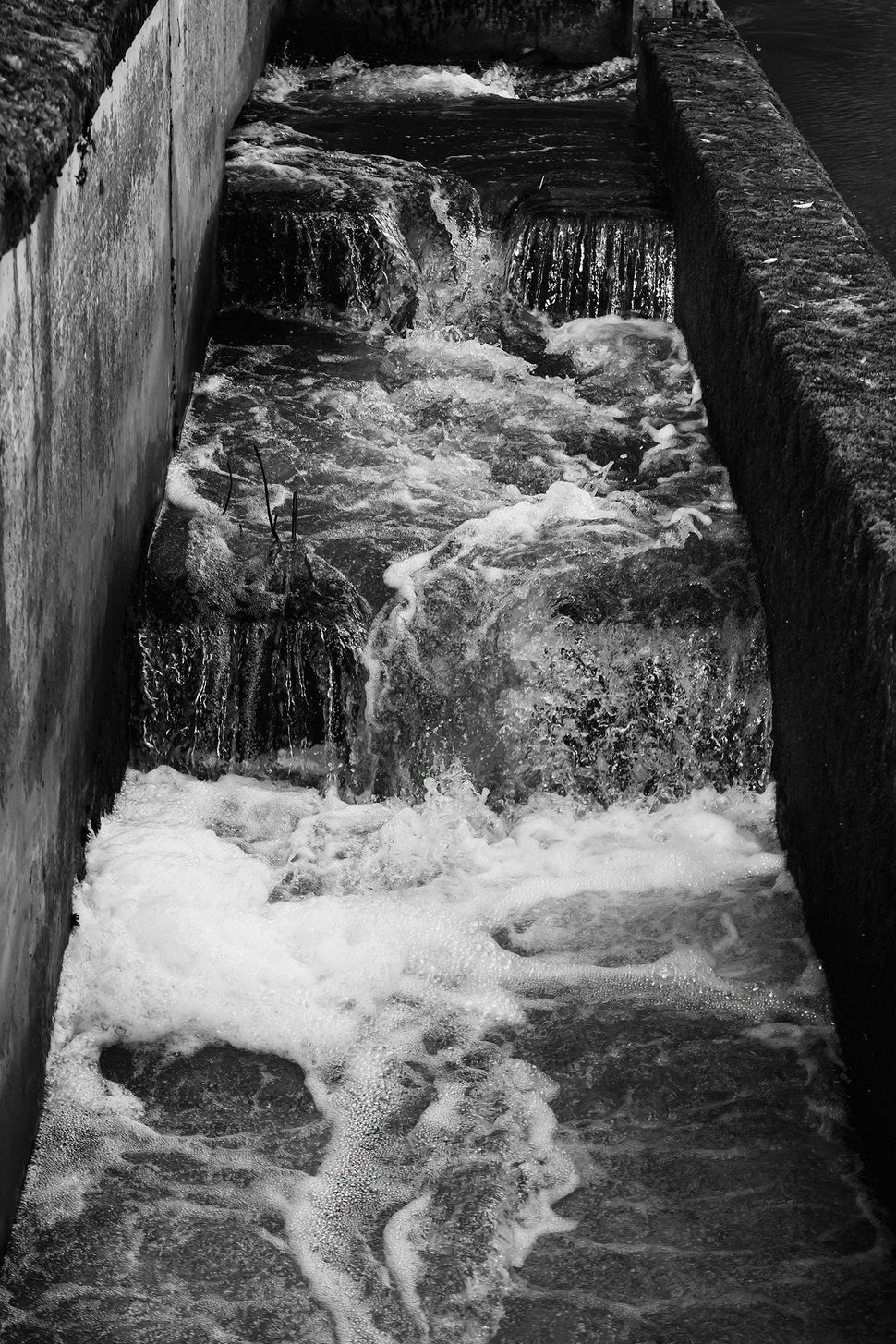 Freeze the motion in your images with this step-by-step tutorial ...