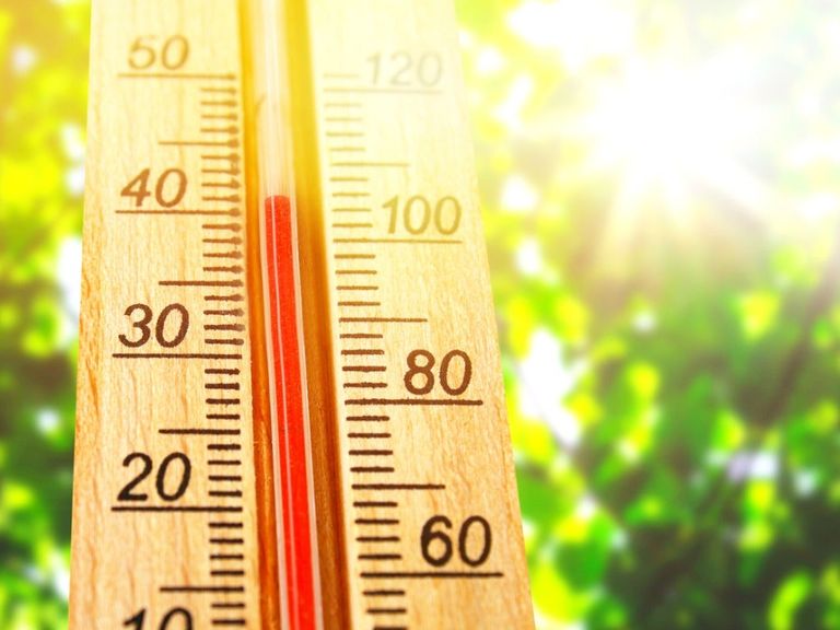What Are Heat Zones: How To Use Heat Zones When Gardening | Gardening ...