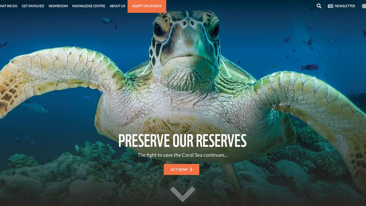 5 Sensational New Websites To Be Inspired By Creative Bloq 