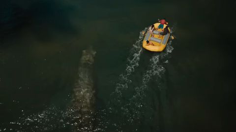 OK, Could T Rex Really Swim? The Science Behind That Jurassic World Rebirth Scene Recycled From ...