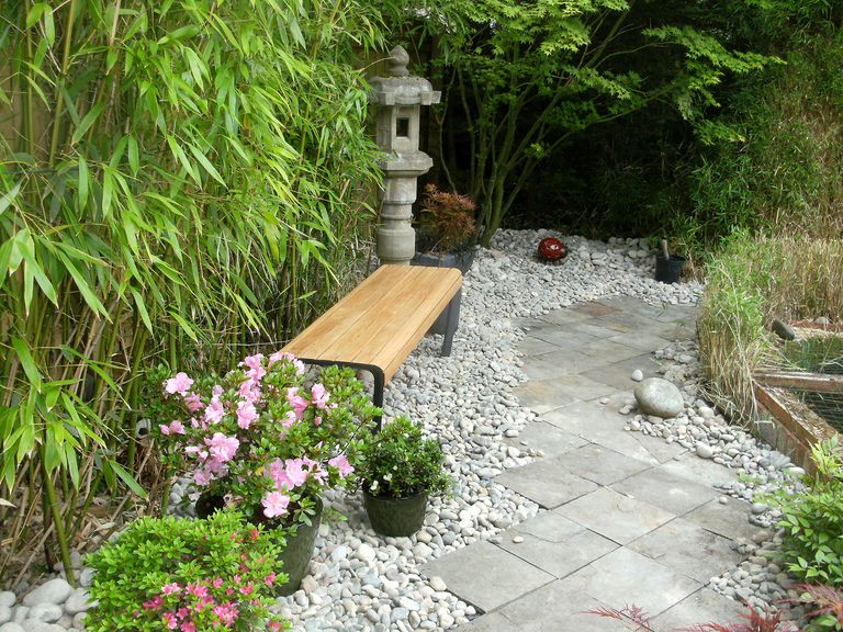 How to stop bamboo from spreading | Homes and Gardens